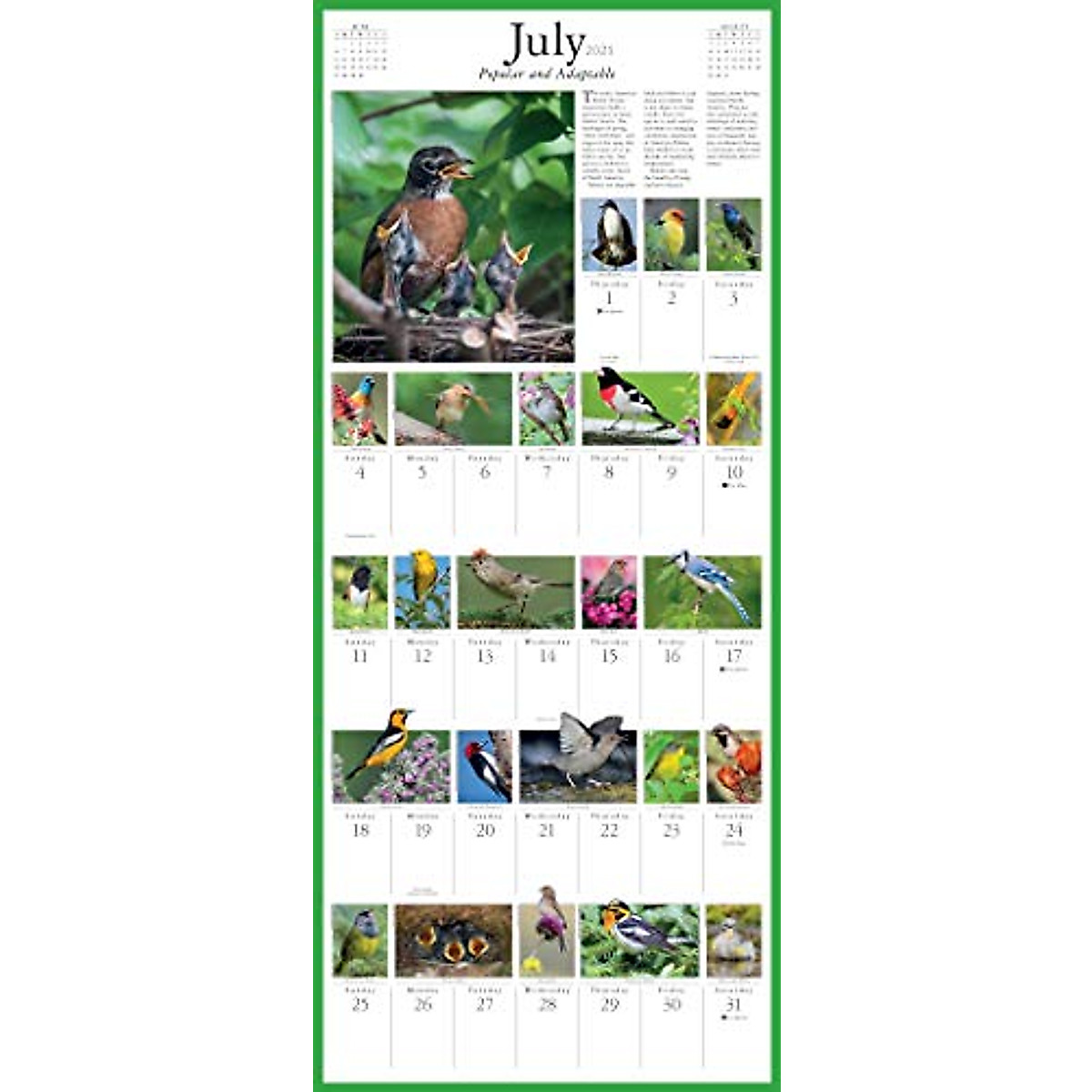 Audubon Songbirds and Other Backyard Birds Picture-A-Day Wall Calendar 2021