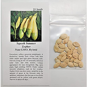 David's Garden Seeds Squash Summer Zephyr FBA-00024 (Multi) 25 Non-GMO, Hybrid Seeds