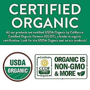 Organic Black Tea Bags | 100 Tea Bags | Eco-Conscious Tea Bags in Kraft Bag | Raw from China | by FGO