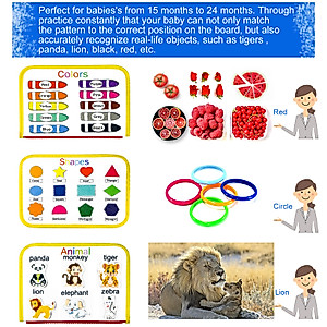 HAPTIME Busy Board for Toddlers, Montessori Sensory Board for 1 2 3 4 Year Old Toddler to Develop Basic Life Fine Motor Skill,Road Trip Essentials Kids Early Educational Activity Toy for Boy and Girl