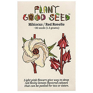 Hibiscus sabdariffa/Roselle Seeds - Pack of 30, Certified Organic, Non-GMO, Open Pollinated, Untreated Flower Seeds for Planting – from USA
