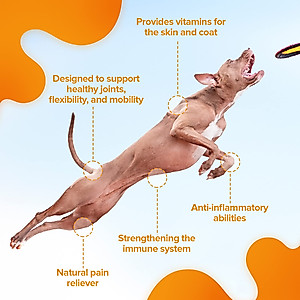 Powerful PET Hip & Joint - with Organic Turmeric - Natural Ingredients - Triple Strength - Chondroitin - Glucosamine - MSM - Organic Sea Coral Calcium. Extra Large 170 Grams.