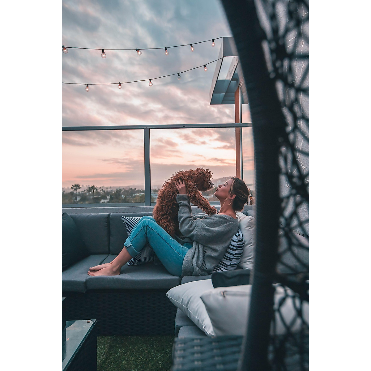 Silver Biotics Pet Vet Immune Support | Enhances The Immune Response in Pets | 16 Fl Oz