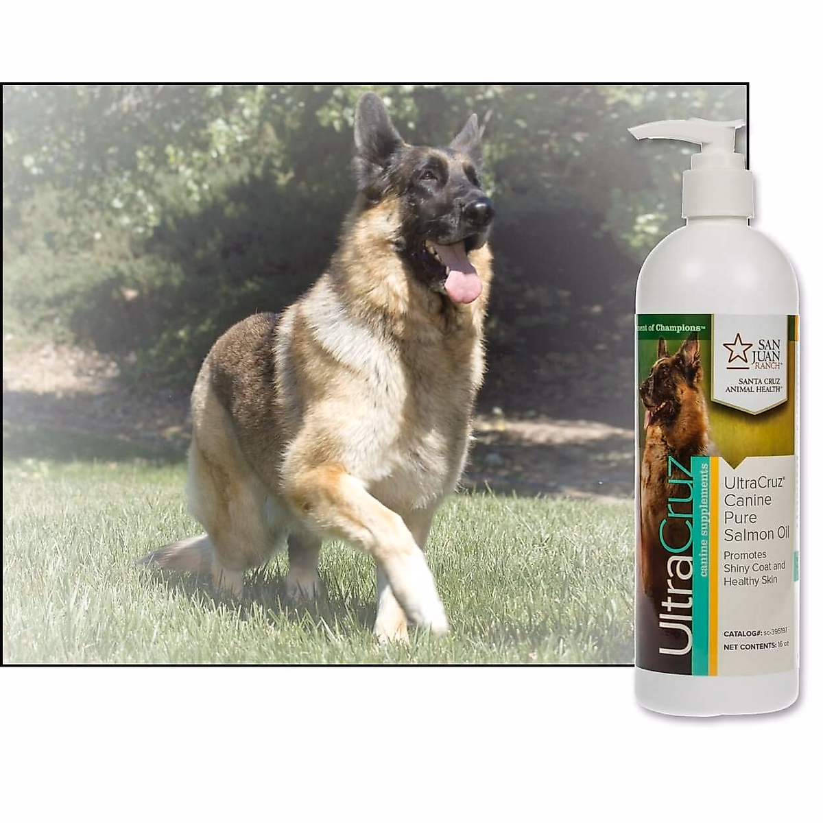 UltraCruz-sc-395197 Canine Pure Salmon Oil Supplement for Dogs, 16 oz