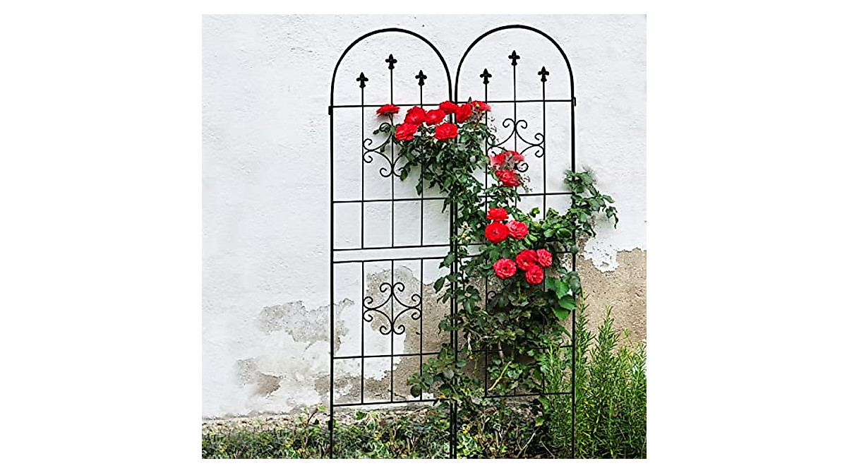 eLeGreen Metal Garden Trellis 2 Pack for Climbing Plants | Durable ...