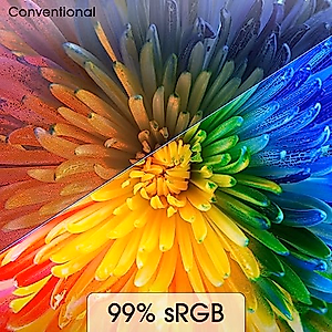 SCEPTRE 32-inch IPS 4K UHD 3840 x 2160 Monitor DisplayPort x2 HDMI x2 99% sRGB Build-in Speakers, Machine Black 2024 (U325W-UPT)