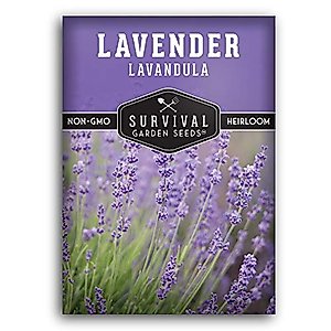 Lavender Seed for Planting - 1 Packet with Instructions to Plant and Grow Edible & Medicinal Lavandula Herbs in Your Home Vegetable Garden - Non-GMO Heirloom Variety - Survival Garden Seeds