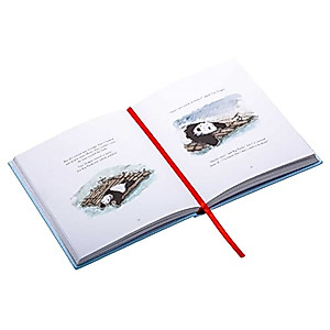 The Journey: Big Panda and Tiny Dragon