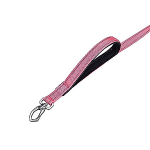 EXCELLENT ELITE SPANKER Strong Durable Nylon Dog Training Leash Traction Rope 5 Feet Long 3/4" Wide with Poop Bag Holder for Small Dogs(Pink)