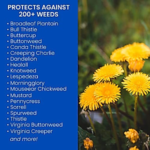 BioAdvanced Season Long Weed Control For Lawns, Ready-to-Spray, 29 oz, 9,000 Sq Ft