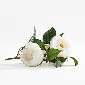 Garnier Whole Blends Shampoo with Moroccan Argan & Camellia Oils Extracts, 12.5 fl. oz.