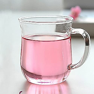 Coffee Glass Mug Cup Clear with Handle for Hot Beverage Home Cafe Elegance 12oz 350ml TPBD102870