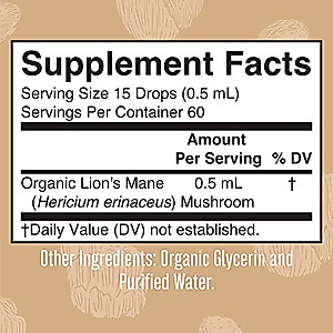 MaryRuth Organics Lions Mane Mushroom Supplement, Upto 2 Month Supply, Nootropic USDA Organic Lions Mane Extract Nervine Herbal Liquid Drops, Brain Health Non-GMO Vegan Alcohol Free Tincture, 1 Fl Oz