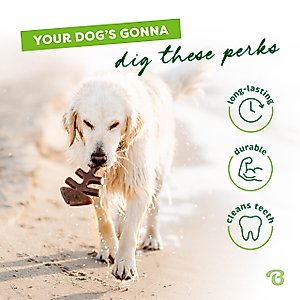 Benebone Fishbone Durable Dog Chew Toy for Aggressive Chewers, Real Fish, Made in USA, Large