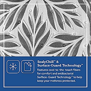 Sealy Posturepedic Plus, Tight Top 15-Inch Plush Ultra Soft Mattress with Surface-Guard, Queen, White