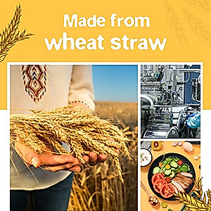 Teivio 32-Piece Kitchen Plastic Wheat Straw Dinnerware Set, Service for 8, Dinner Plates, Dessert Plate, Cereal Bowls, Cups, Unbreakable Plastic Outdoor Camping Dishes, Black