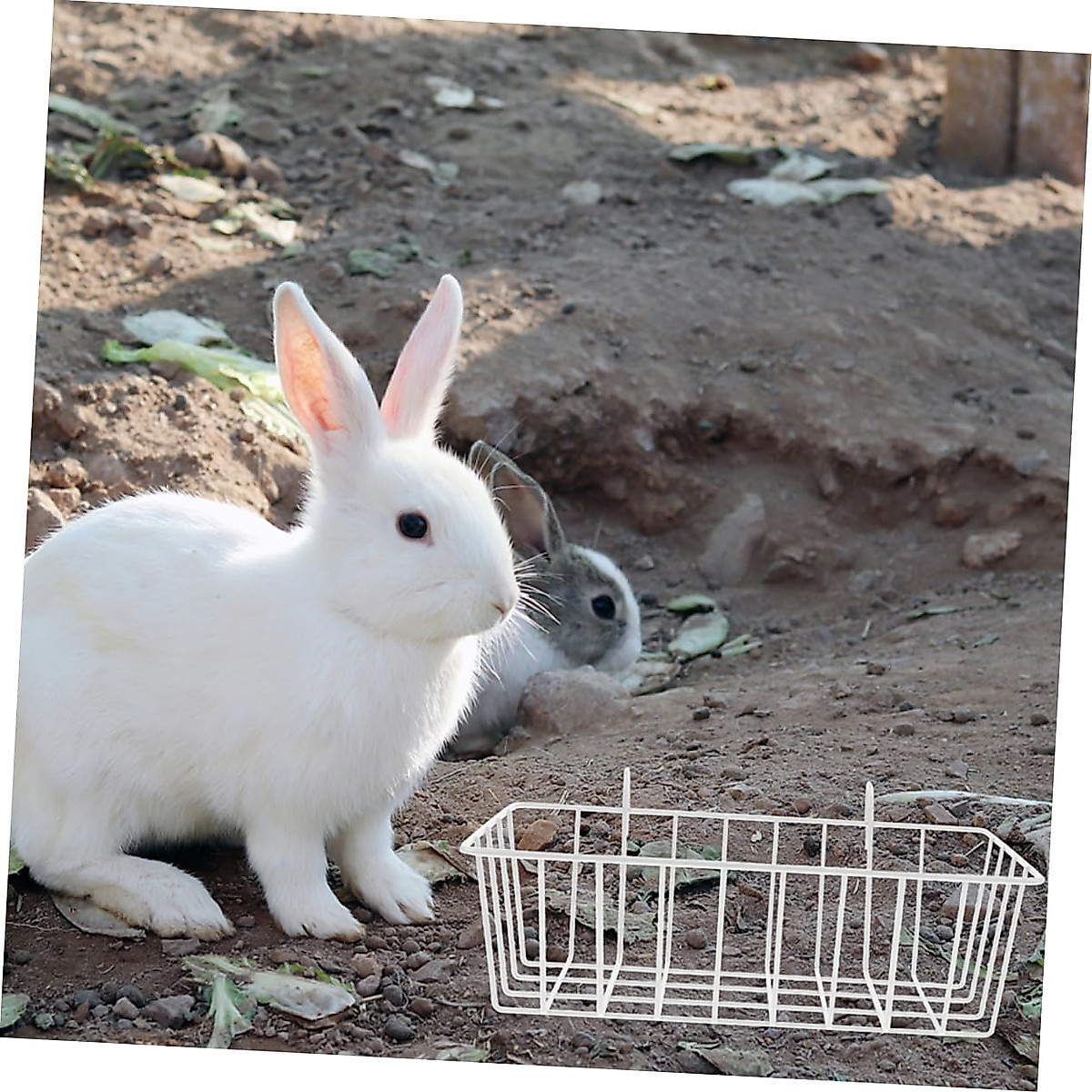 Balacoo Rabbit Rack Bunny Feeder Rabbit Feeders Convenient Rabbit Feeder Hanging Rabbit Feeder Daily Use Rabbit Feeder Rack for Rabbits Feeder Rabbit Grid Accessories Shelf Metal White