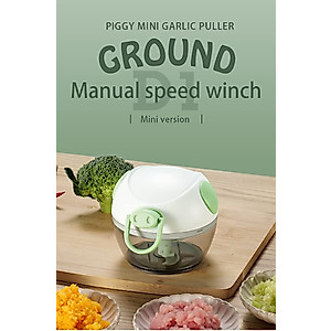 RYKKZ Garlic Press Small - Multi -Functional MIni Vegetable Processor-180ML,Can Chop Several Cloves Of Garlic At Once,Very Suitable For Chopping Garlic,Chili, And Peanut Onion, And Nuts.