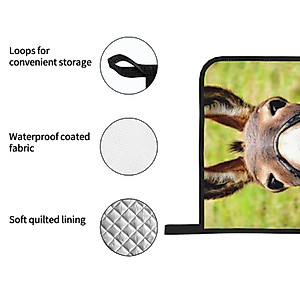 ZHRYMIFE Happy Donkey Oven Mitts and Pot Holders Sets Kitchen Hot Pad Non-Slip Heat Resistant Waterproof Baking BBQ Cooking Gloves(4 Piece) Black