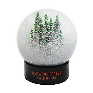 Redwoods California Fog Snow Globe Hand Painted