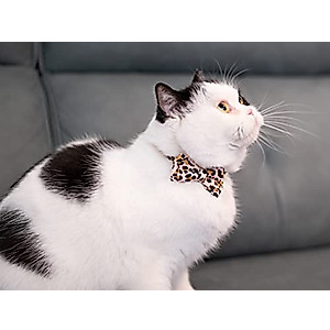 Gyapet Collar for Cats Pets Breakaway with Bell Bowtie Floral Bow Detachable Adjustable Safety Puppy 2pcs Pink Leopard & Pure