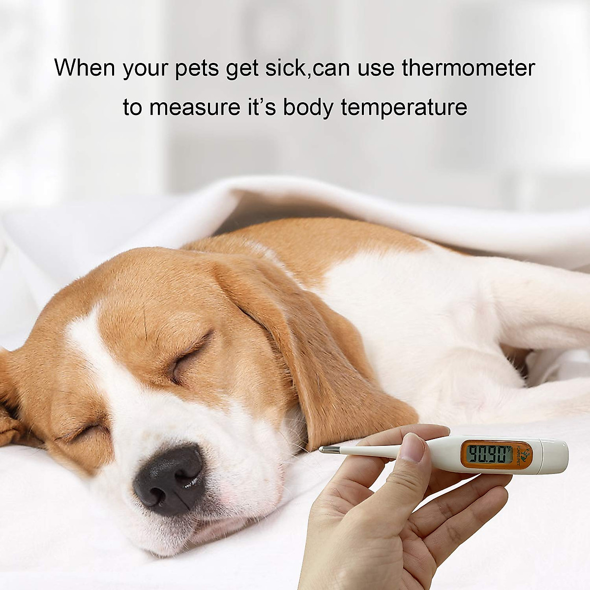 Pet First Aid Kit for Dog, Cat, Rabbit and Other Animal,with Thermometer, Syringe, Otoscope, Perfect for Home Care and Outdoor Travel Emergencies