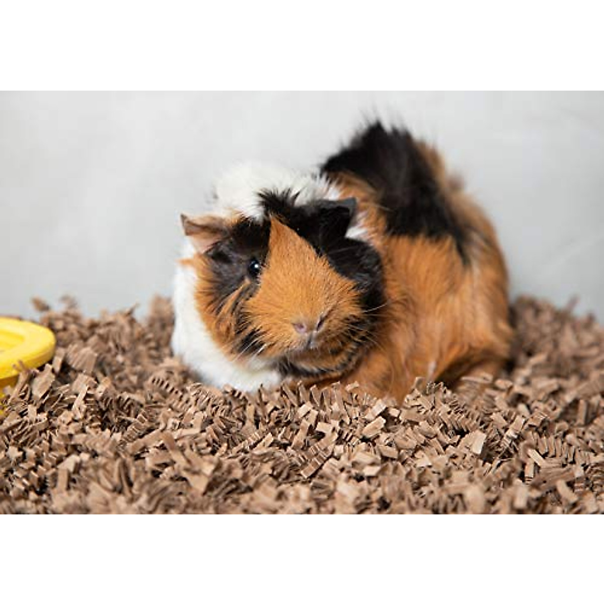 ECO Bedding Fibercore, 1.5 lb Brown