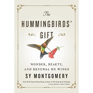 The Hummingbirds' Gift: Wonder, Beauty, and Renewal on Wings