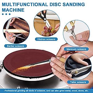 4 Inch Mini Disc Sander with Variable Speed 6000 RPM, Electric Small Hobby Disk Sander with Forward & Reverse Function, Sanding Disc Machine for Woodworking, Metal Working, Stone and Scissors Sanding