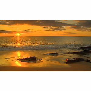 Relaxation DVD - Paradise Beaches Shot in HD with Nature Sounds