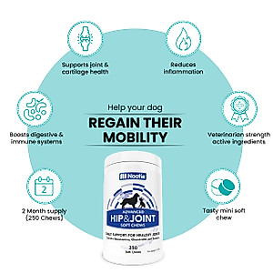 Nootie Glucosamine for Dogs - 250 ct - Hip and Joint Soft Chews Supplement for Dogs - Daily Dog MSM Chondroitin Chews with Turmeric - Joint Care Vitamins for All Breeds and Sizes USA