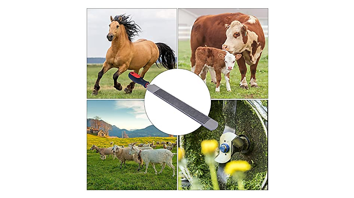 wevsuipo 18" Hoof Rasp Tool for Horses & Goats