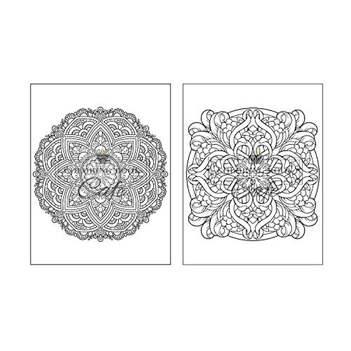 125 Mandalas: An Adult Coloring Book Featuring 125 of the World’s Most Beautiful Mandalas for Stress Relief and Relaxation (Mandala Coloring Books)