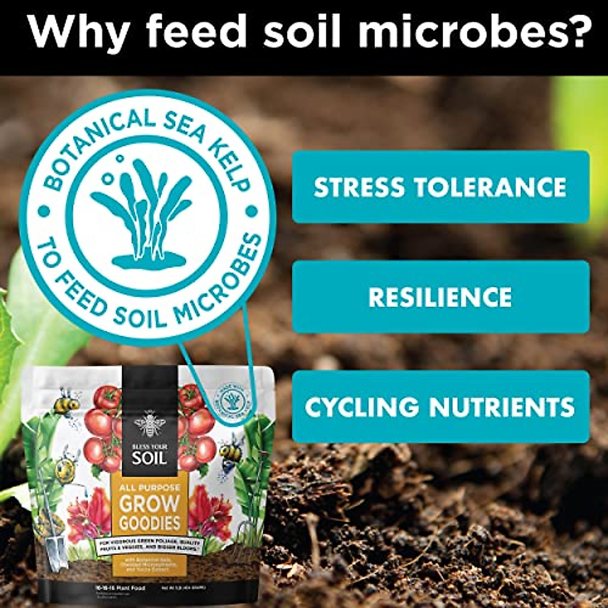 Grow Goodies All Purpose Plant Food | Supercharge Your Garden