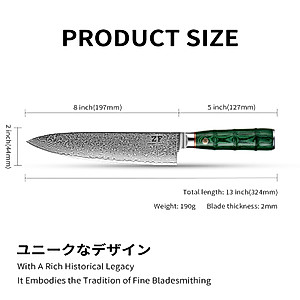 ZF 8 Inch Damascus Kitchen Chef Knife Professional Japanese VG10 Super Steel 67 Layers Santoku Knife Cooking Knife Utility Knife for Meat Vegetable Fruit (YE008)