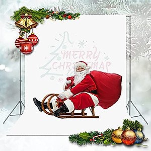 Lidlife 10 x 10 ft White Backdrop Background for Photography, Wrinkle-Resistant Photography Backdrop Background with 4 Backdrop Clip, Polyester Fabric Chromakey White Screen for Video Studio Photo