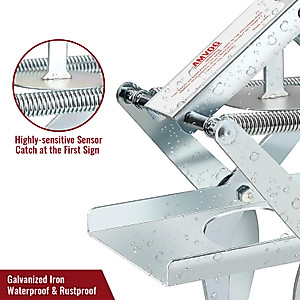 AMVOG Upgrade Mole Scissor Traps, EasySet Mole Traps That Kill, Reusable Gopher Traps for Lawns & Garden,2 Eliminator Traps
