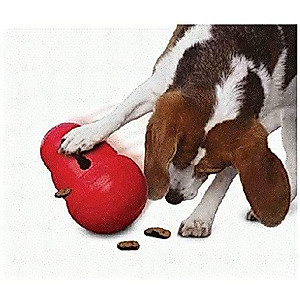 KONG Wobbler Dog Toy - Small - 5"