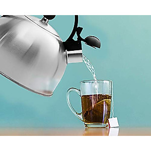 2.5 Liter Whistling Tea Kettle - Modern Stainless Steel Whistling Tea Pot for Stovetop with Cool Grip Ergonomic Handle (Stainless Steel)