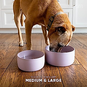 Simple Modern Ceramic Lined Stainless Steel Pet Water Bowl for Dogs & Cats | Insulated Stainless Steel Food Bowls | No Tip No Slip BPA Free | Bentley Collection | Medium (4 Cups) | Almond Birch