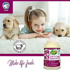 OdoBan Professional Series Cleaning 3-in-1 Carpet Cleaner Concentrate, Set of 2, 1 Gallon Each