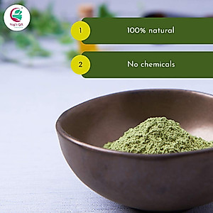 Yogi's Gift | Sidr Powder Trial Pack 100 grams | Natural Herbal Hair Cleanser & Revitalizer | Rejuvenates Hair Follicles