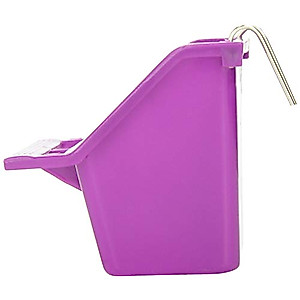 Living World Seed Cup with Perch, Large, Assorted