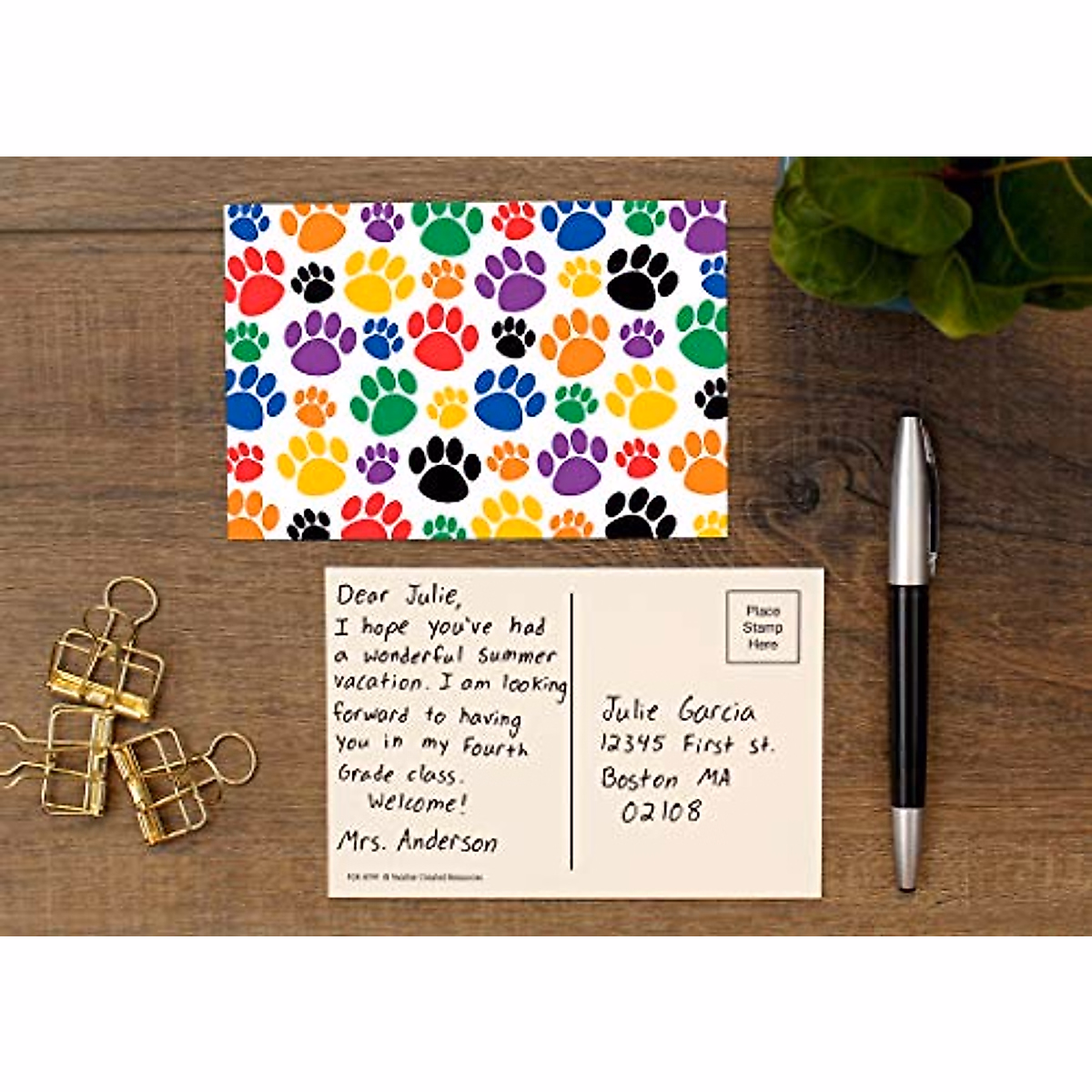 Teacher Created Resources Colorful Paw Prints Postcard (4799), Multi