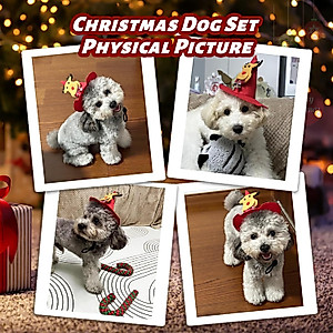 DARDOHIA Christmas Dog Toys for Small and Medium Dogs with Hat and Bandana Dog Christmas Stocking with Rope Toys and Squeaker Toys Christmas Puppy Chew Toys for Teething Bulk, 8 Pack