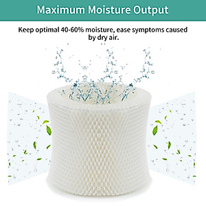 HC-888 Humidifier Filters for Walgreens Humidifier, LHoneywell HC 888 Series, HCM 890 Series, HEV-320 Series, Replace for Walgreens Humidifier Filters, Long Last, 4-Pack