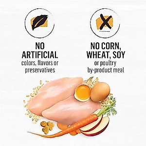 Purina Beyond Natural Dry Cat Food Wholesome Ingredients for Whole Health White Meat Chicken and Whole Oat Meal Recipe - 13 lb. Bag