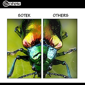 Sotek Compatible PGI-280XXL CLI-281XXL 280XL 281XL 280 281 Ink Cartridges, Use with PIXMA TS9120 TS8120 TS8220 TS8320 TS8322 TS9120 TS8100 TS8200 TS8300 Printers (with Photo Blue)