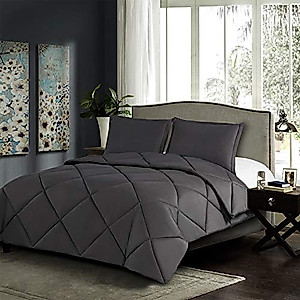 TOPLUXE Queen Comforter Set, All Season Quilted Duvet Insert with 2 Pillow Shams, Microfiber Bedding Comforter Sets Queen, Lightweight (Queen, Grey)