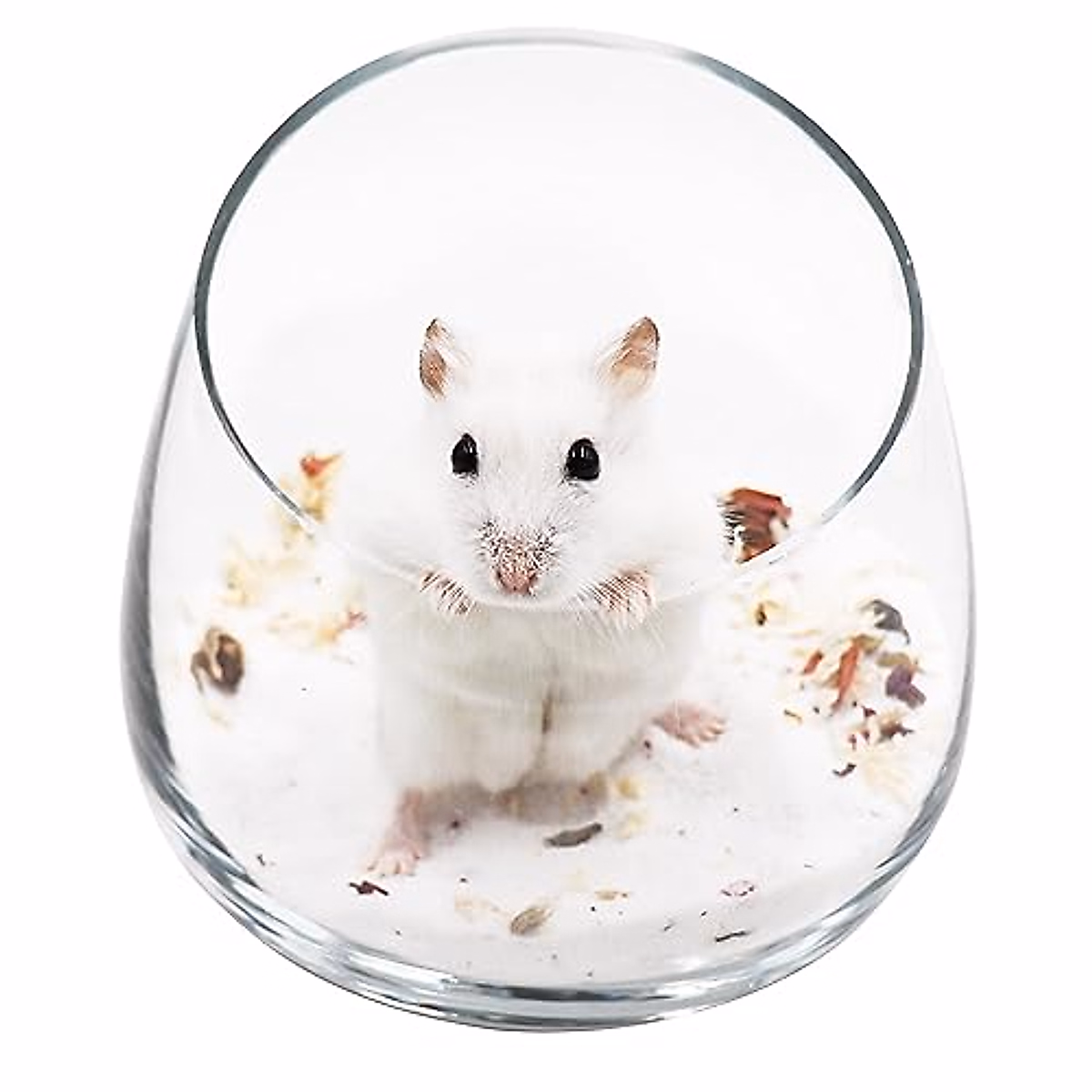 Dnoifne Small Animal Sand-Bath Box, Round Glass Small Pet Sand Bath Box, Sand Bath Shower Room and Sand Bath Container for Rats Hamsters Mice Lemming Gerbils Chinchilla Guinea Pig Hedgehog